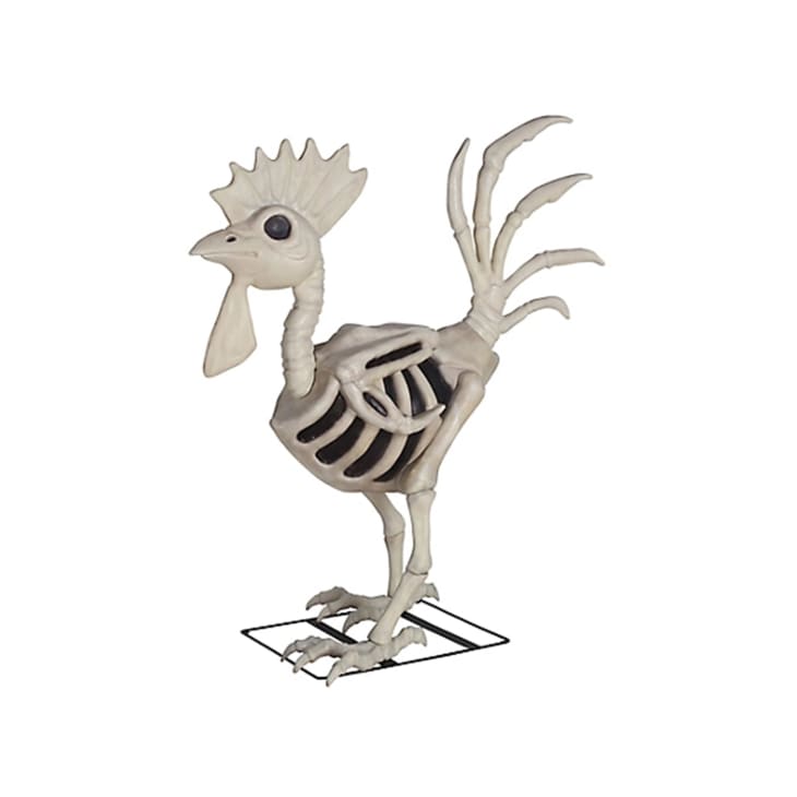 Tractor Supply's 6-Foot Skeleton Rooster Is A Halloween Must ...
