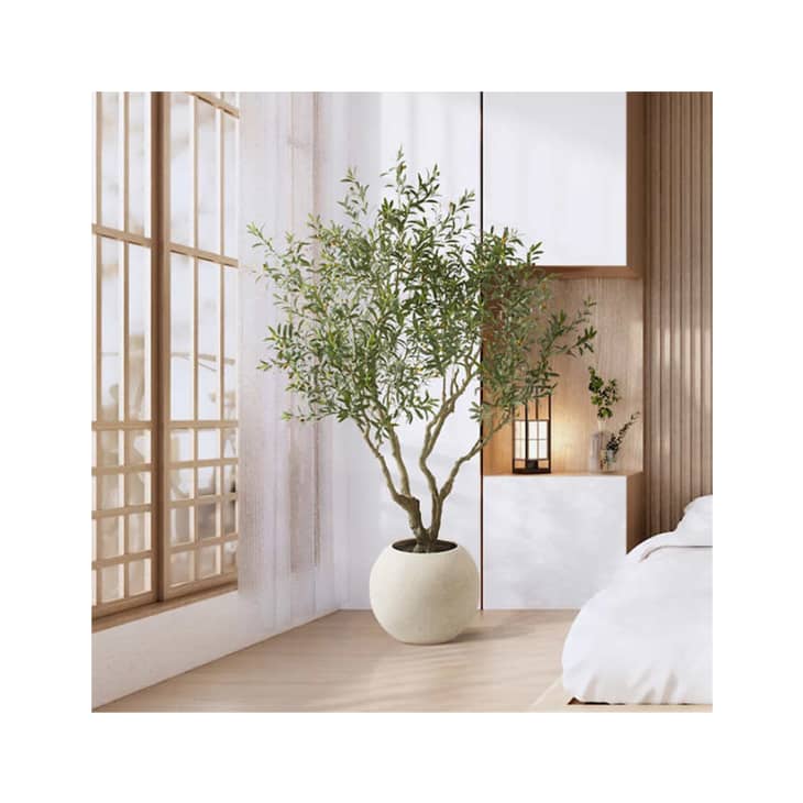 Costco’s Faux Olive Tree Is 8-Feet-Tall and So Gorgeous | Apartment Therapy
