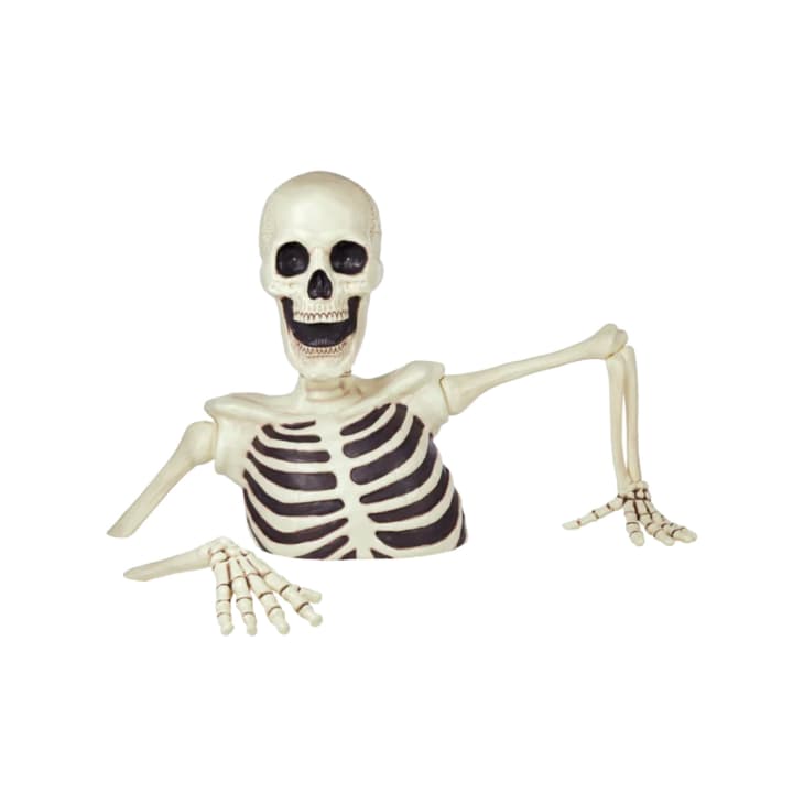 Costco Is Already Selling a Giant Halloween Skeleton | Apartment Therapy