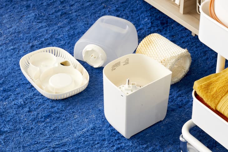 Why Humidifiers Get Black Gooey Substances in Them | Apartment Therapy