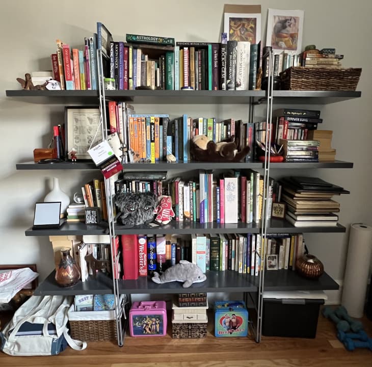 Organizing My Bookshelves Like a Library Took 5 Simple Steps ...