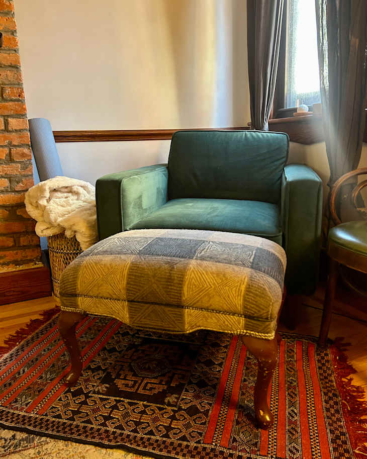 I Tried the New Bissell Little Green Mini (Review & Photos) | Apartment ...