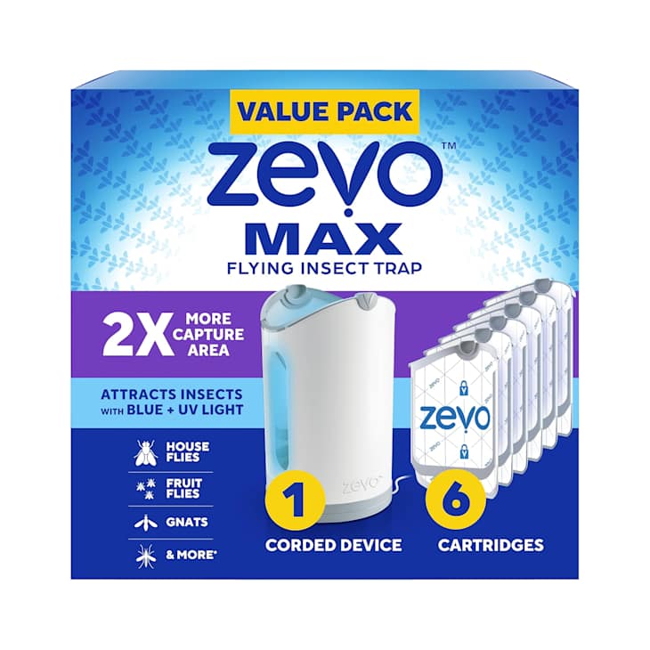 Zevo Max Flying Insect Trap Review: I Swear By It | Apartment Therapy