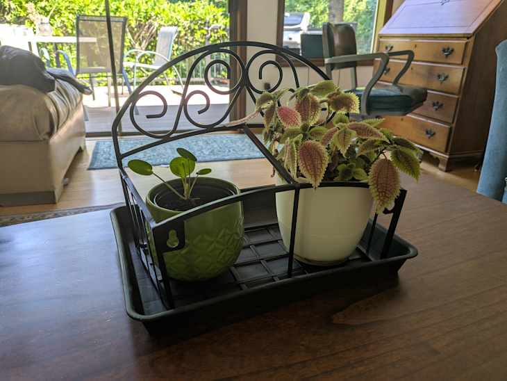 Why I Put a Hose Holder Inside My House (It's Brilliant!) | The Kitchn