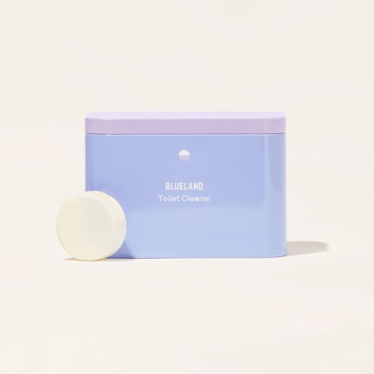 Blueland Toilet Cleaner Review