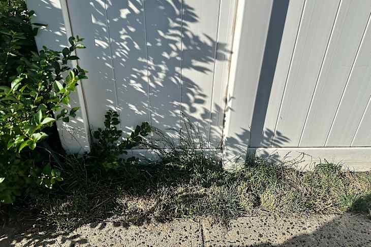 Here's My Ryobi ONE+ 18V Cordless Battery String Edger Review ...