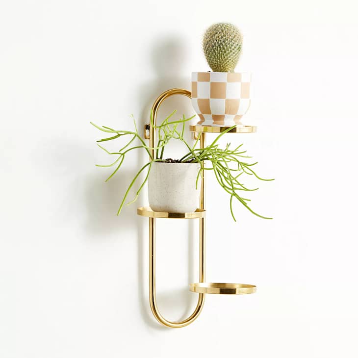 This Urban Outfitters Plant Stand Is So Perfect for Small Spaces ...