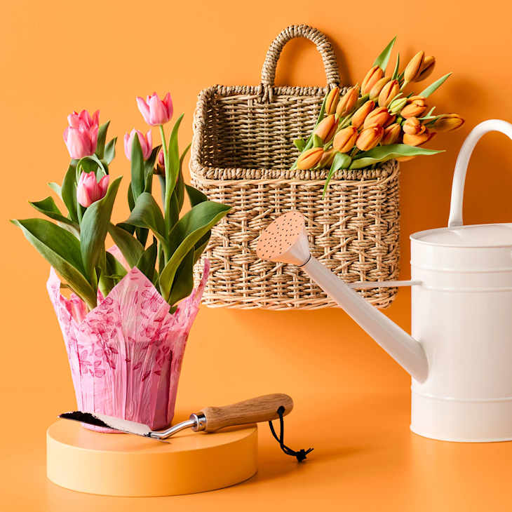 Target’s Good Little Garden Just Launched, and It’s So Cute | Apartment ...