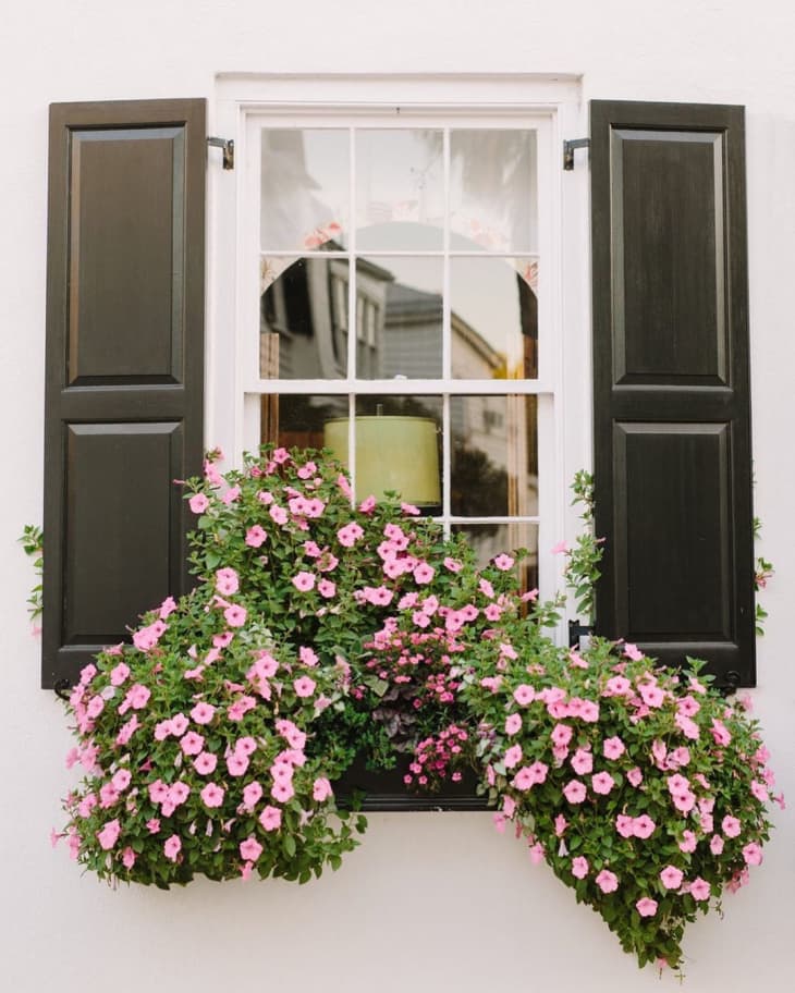 29 Window Box Flower Ideas (With Photos of Inspiring Plantings ...