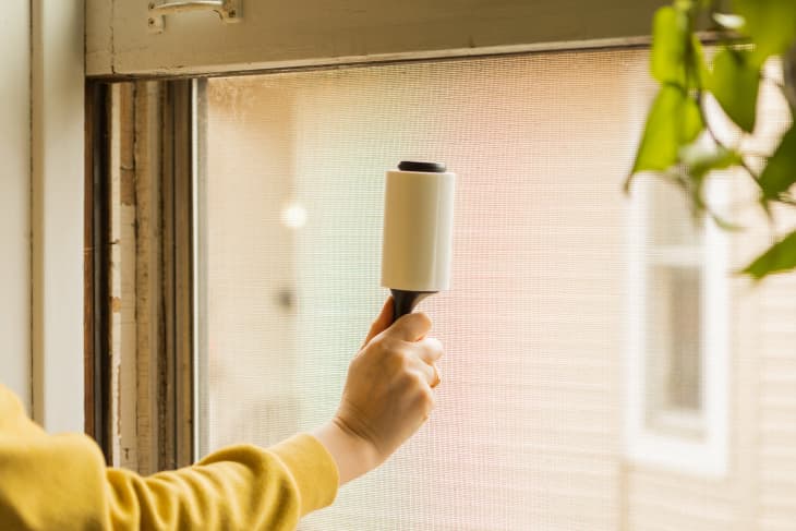 12 Easy Ways to Reduce Dust in Your Home | Apartment Therapy