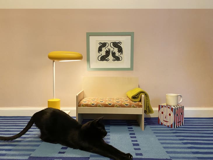 Your Cat Will Love to Lounge on This Super Chic Couch | Apartment Therapy