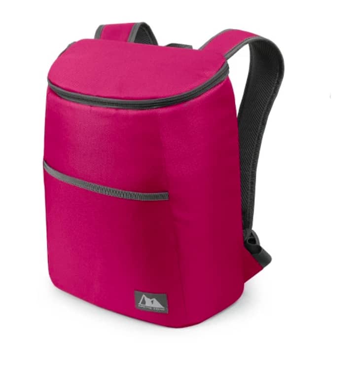 Stylish Insulated Cooler Bags for Summer | Kitchn