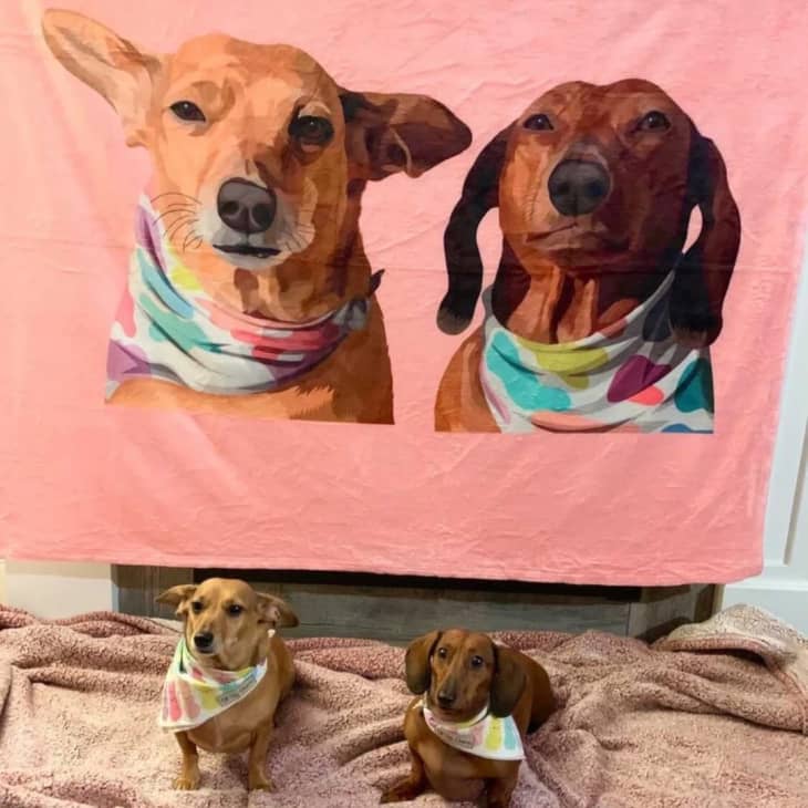 8 Personalized Decor Ideas for Adorably Celebrating Your Pet ...