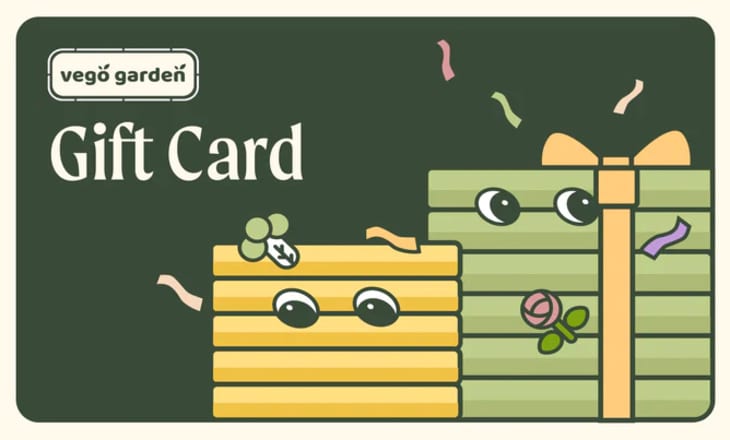 54 Surprisingly Thoughtful Gift Card Ideas to Give in 2024 | Apartment ...