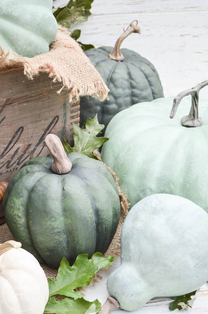 Where to Find Light Green Pumpkins | Apartment Therapy