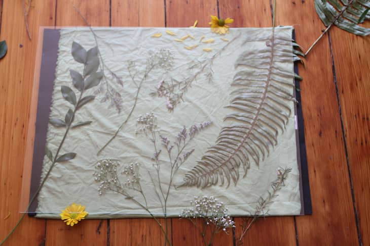 How To Make Cyanotype Textiles and Fabrics | Apartment Therapy