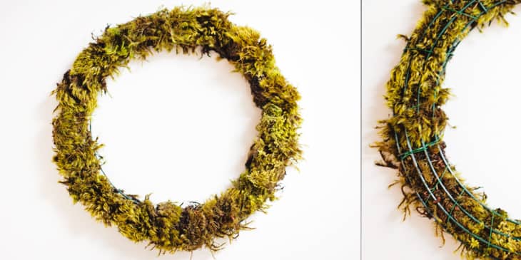 How To Make a Succulent Wreath | Apartment Therapy