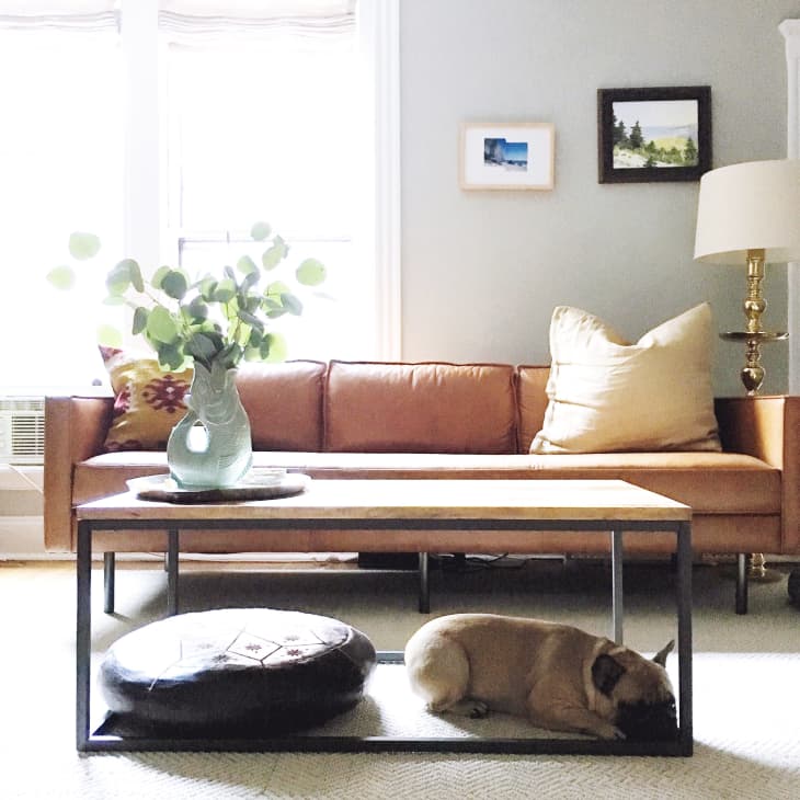 A "New England-Bohemian" Boston Condo | Apartment Therapy