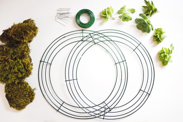 How To Make a Succulent Wreath | Apartment Therapy