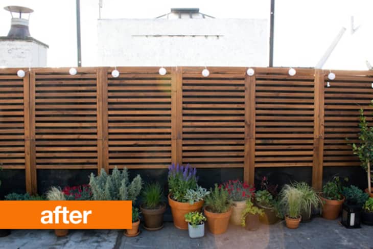 Before & After: The Great Rooftop Grossness Rectification Project ...