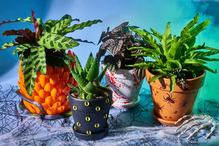 Halloween Decorating Ideas - DIY Flower Pot Designs | Apartment Therapy