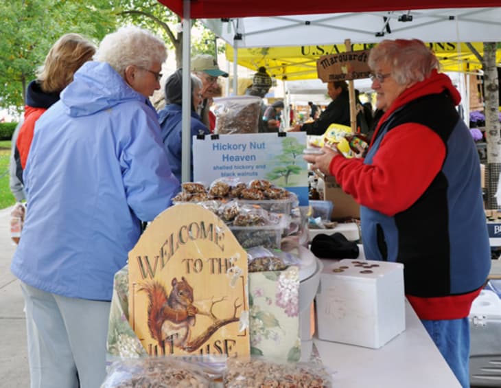 Seasonal Spotlight: Hickory Nuts | The Kitchn