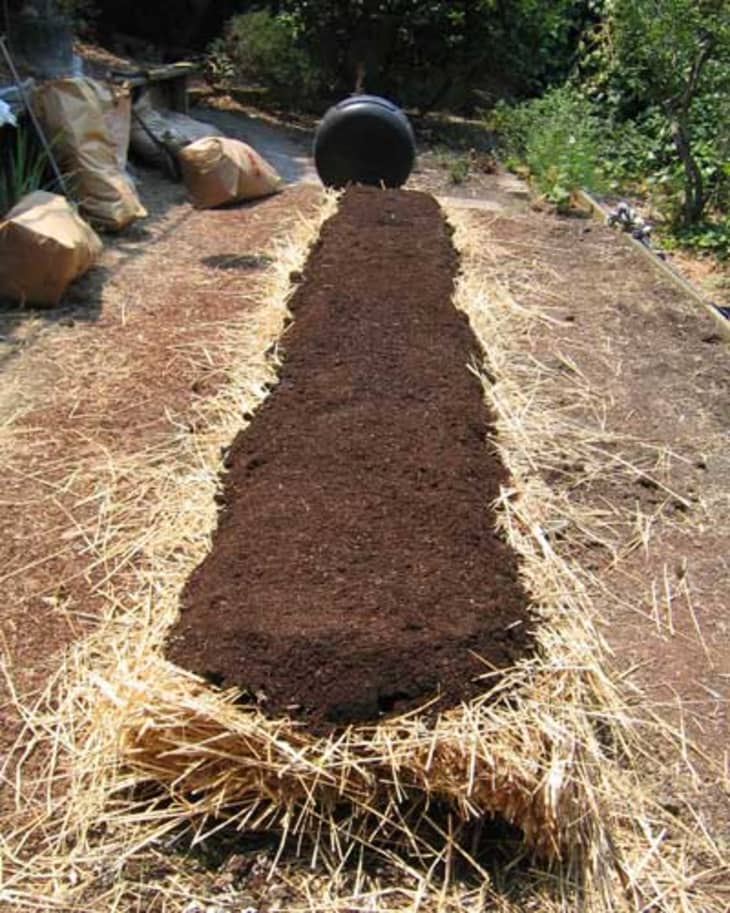 How To: Start a No-Dig Garden … Step by Step | Apartment Therapy