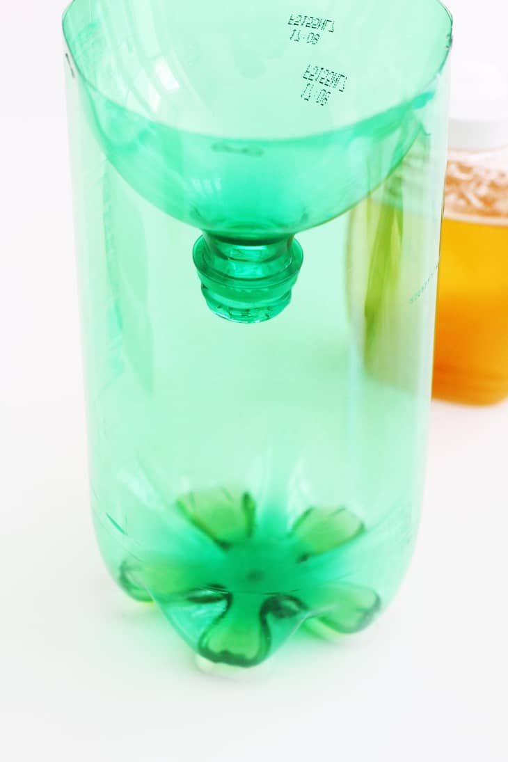 How To Make Soda Bottle Wasp Trap Apartment Therapy