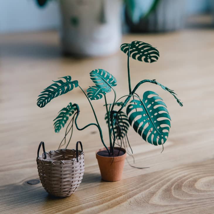 Tiny Paper Plants That You’ll Have to See to Be-Leaf | Apartment Therapy