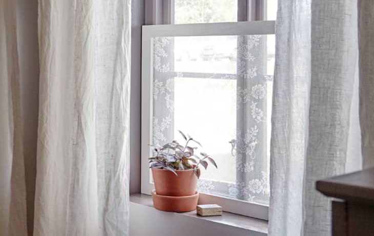 Lace Window Screen - Privacy Film Alternative | Apartment Therapy