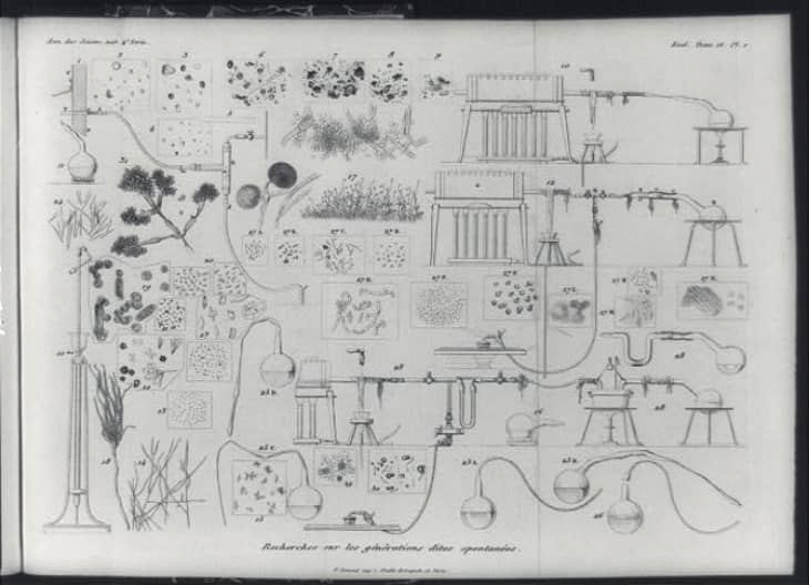 Fermentation Was Probably the First Great Moment in Food Science | The ...