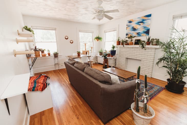 Renter Friendly Decor Ideas in a Colorado Rental | Apartment Therapy