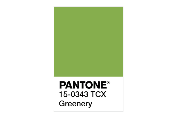 Pantone Color of the Year History: Selections from 1999 to 2025 ...