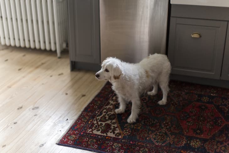 Colu Henry Shares Her Healthy Morning Routine | The Kitchn