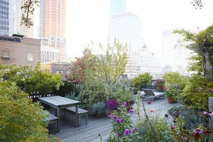 Urban Retreats: 9 Dreamy Rooftop Gardens | Apartment Therapy