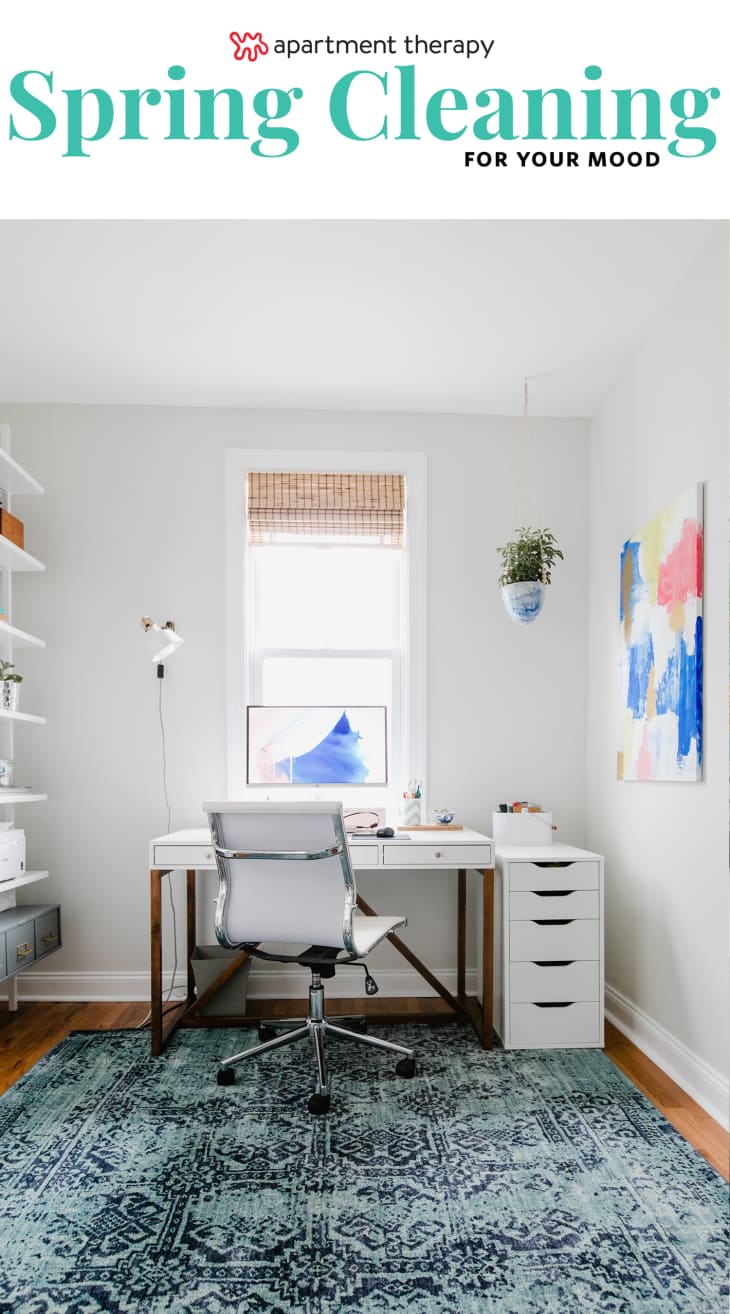 How To Deep Clean Your Rugs and Carpet This Spring | Apartment Therapy