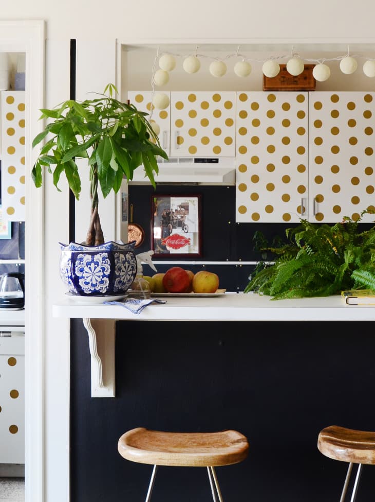 Money Tree Plant Care - How to Grow Money Trees | Apartment Therapy