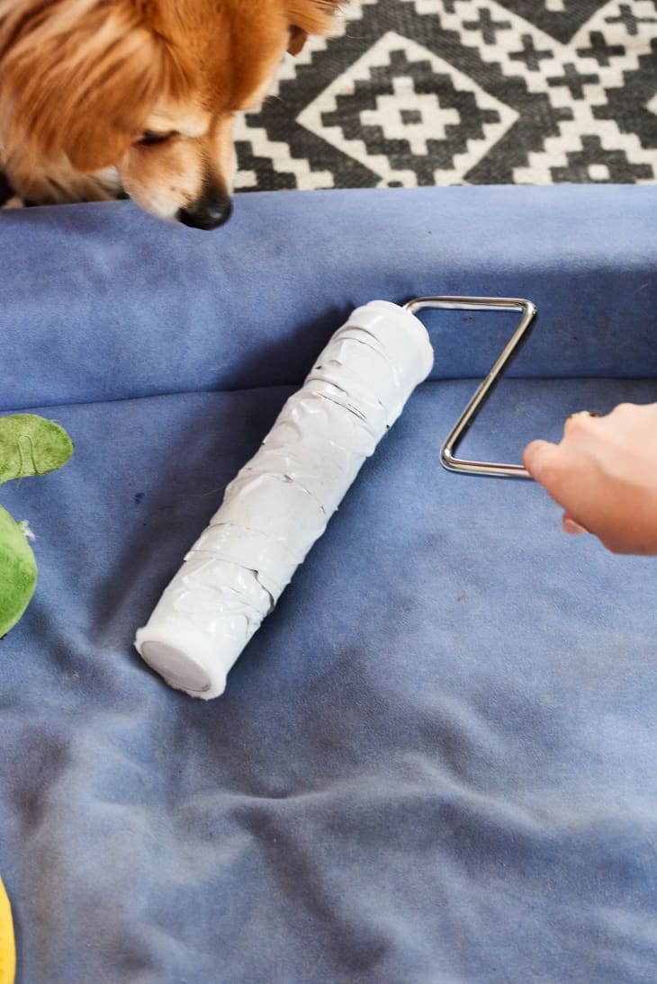 A Guide to Dealing with Common Pet Messes (and Preparing for Future ...
