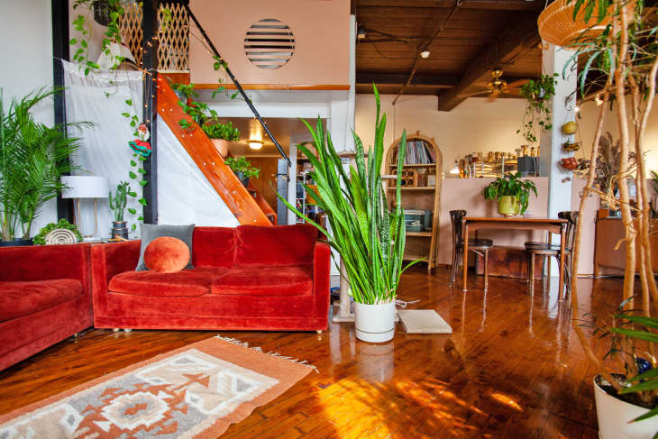 Plant-Filled Loft Decor Ideas and Photos | Apartment Therapy