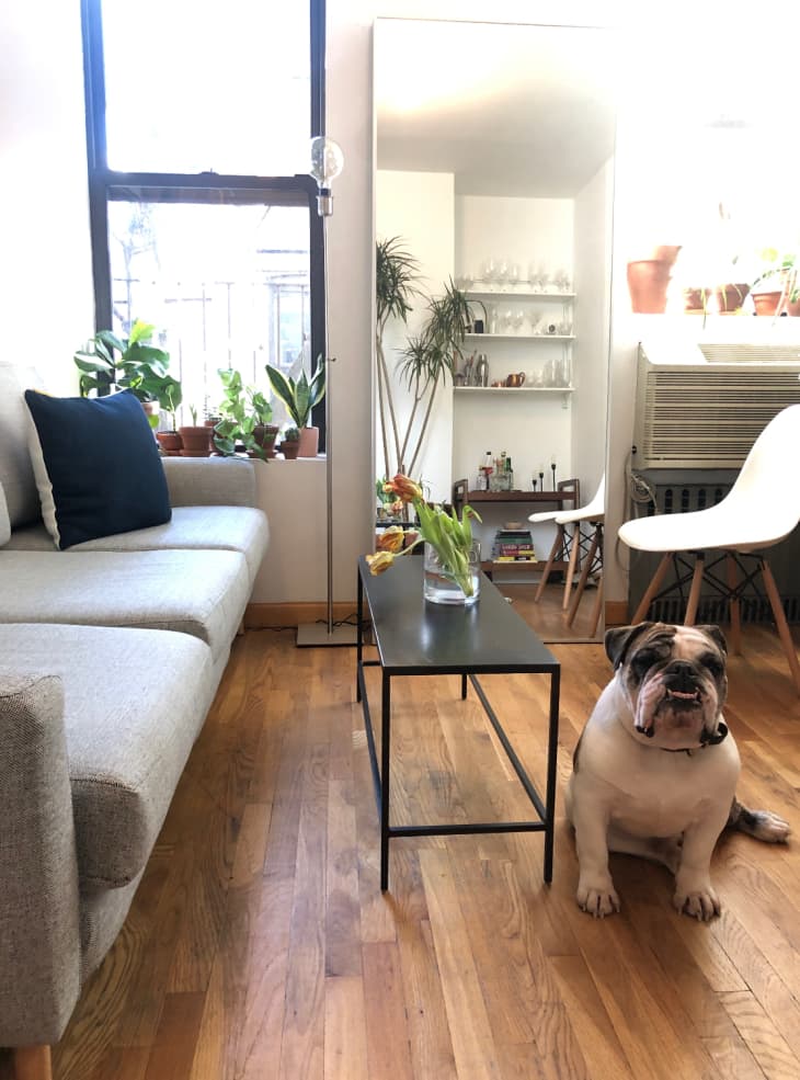 Small Apartment Decor and Storage Solutions | Apartment Therapy