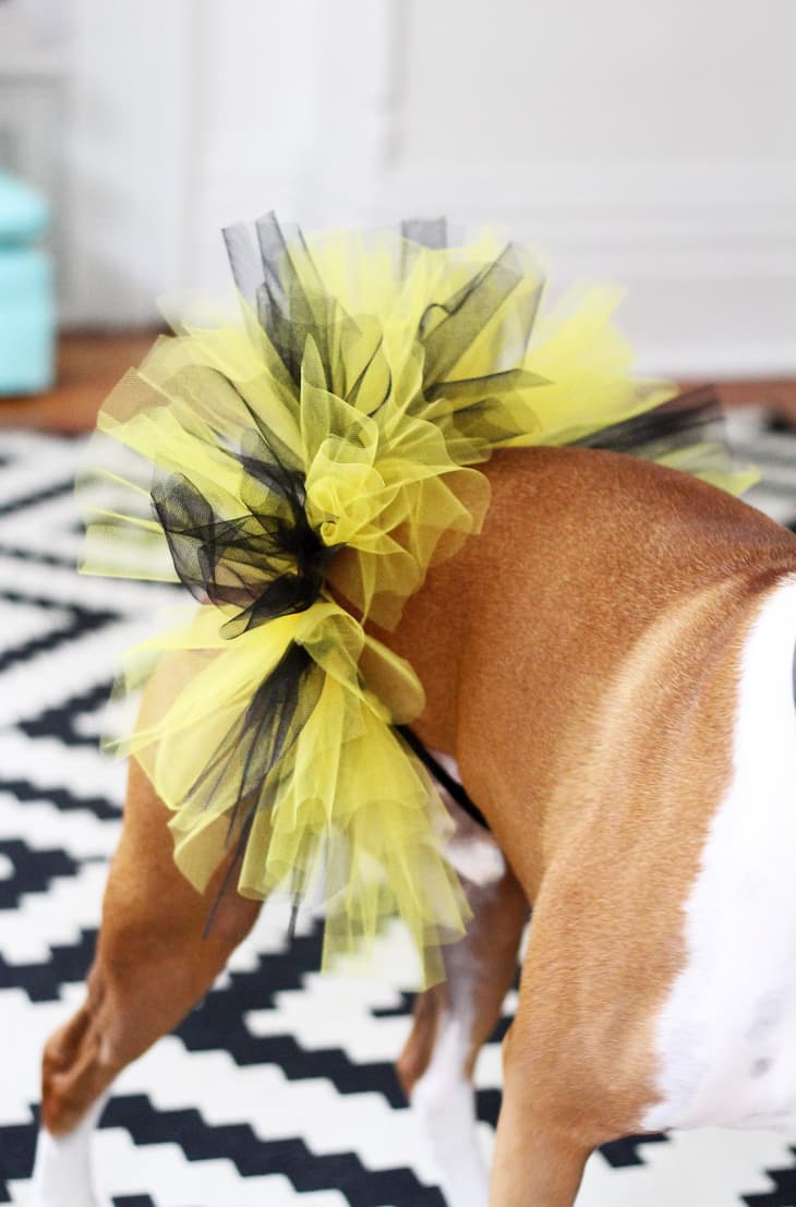 How to Make a Tutu | Apartment Therapy