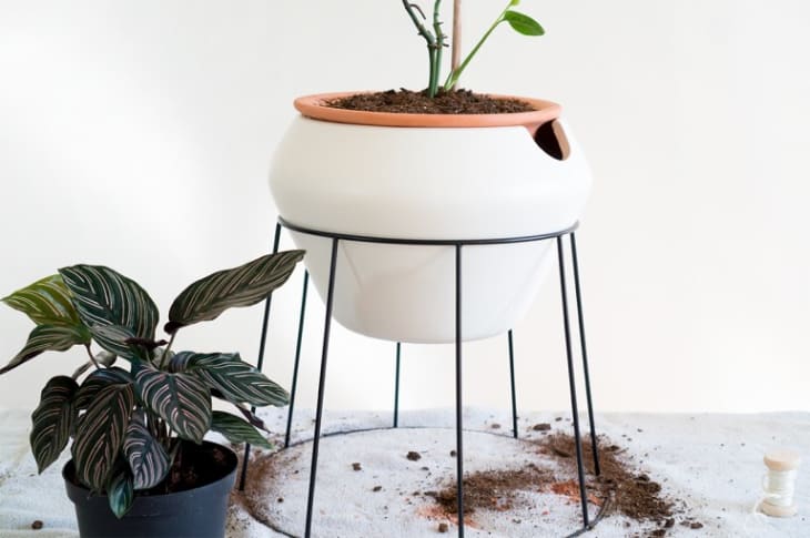 How To Add Drainage Holes to Plant Pots: DIY Tutorial | Apartment Therapy
