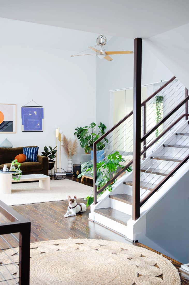 Happy Modern Houston House Tour Photos | Apartment Therapy