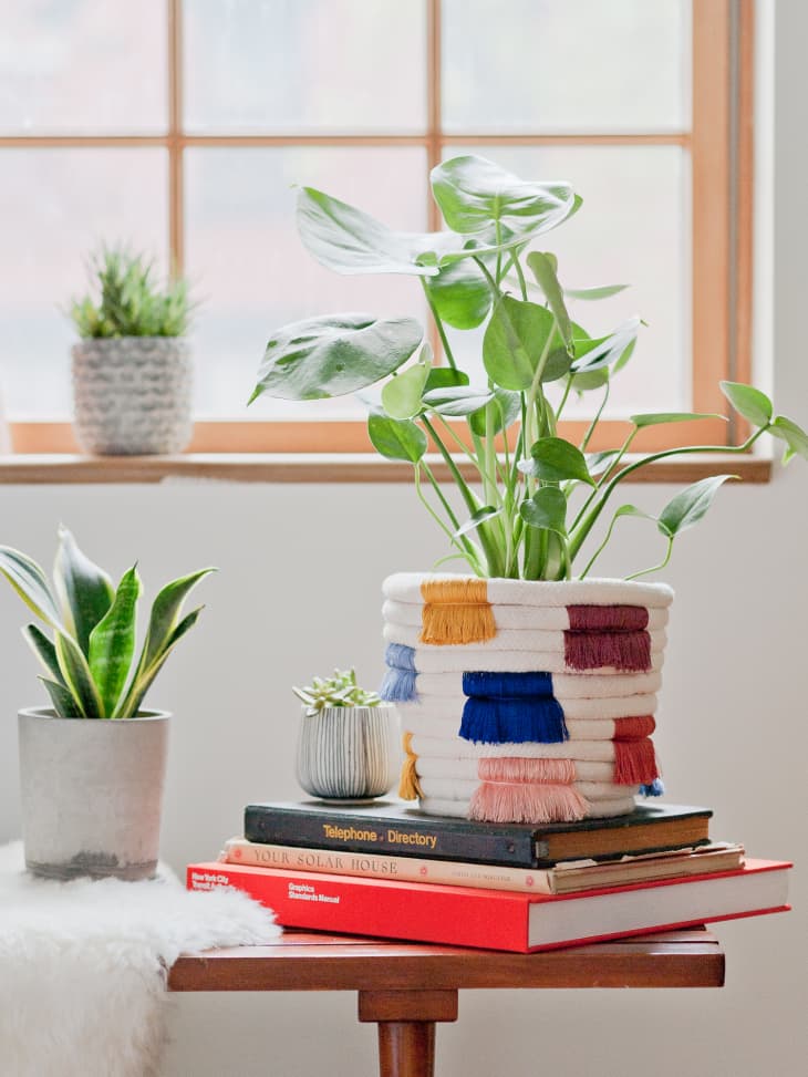 How To Make a DIY Colorful Fringe Coiled Plant Holder | Apartment Therapy