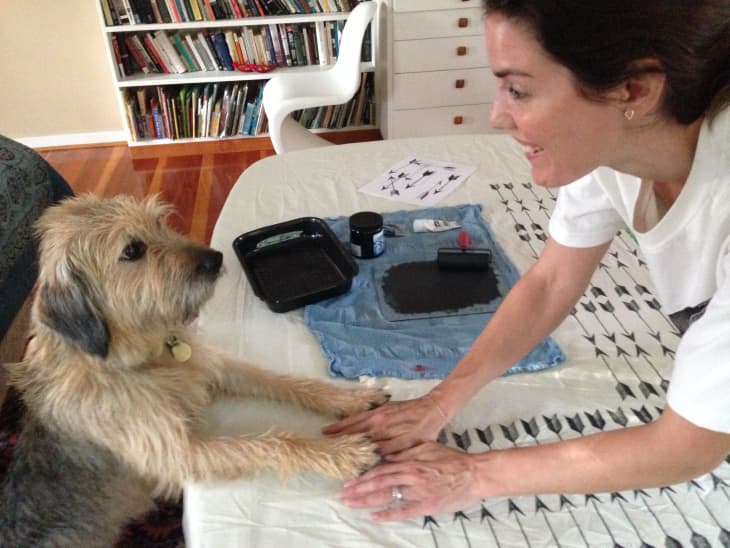 Before & After: Winifred the Dog Gets New Digs | Apartment Therapy