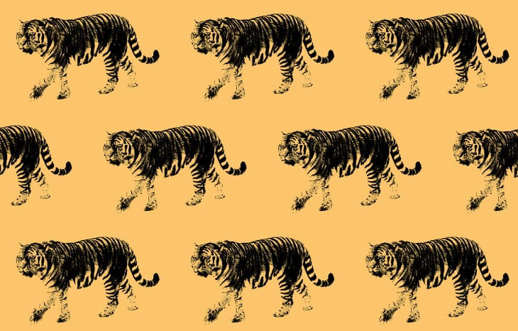 This Is The 2019 Wallpaper Pattern Trend Of The Year | Apartment Therapy