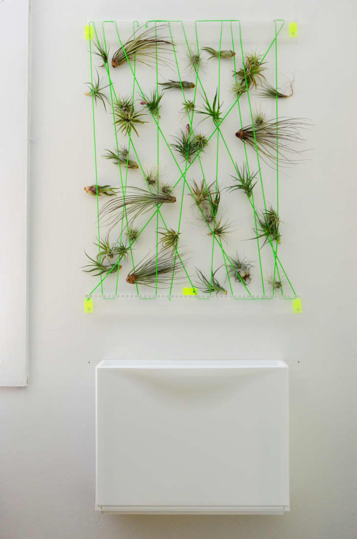 How To Display Collections | Apartment Therapy