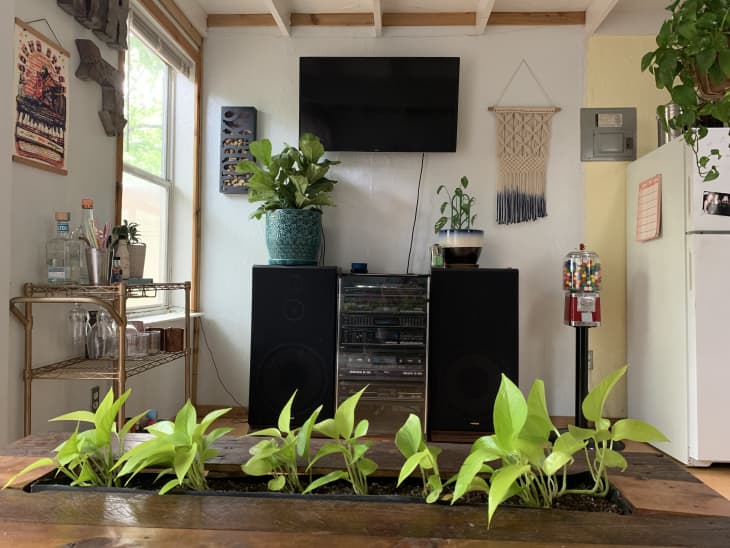 Tiny House and RV Plant Displaying Ideas | Apartment Therapy