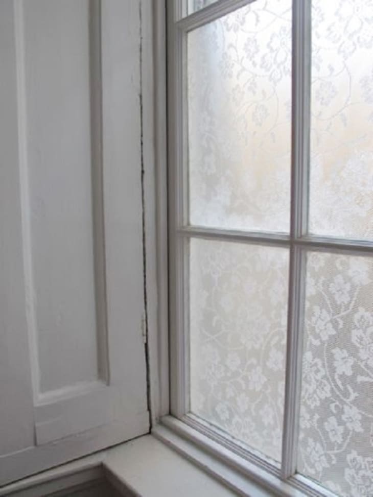 Lace Window Screen - Privacy Film Alternative | Apartment Therapy