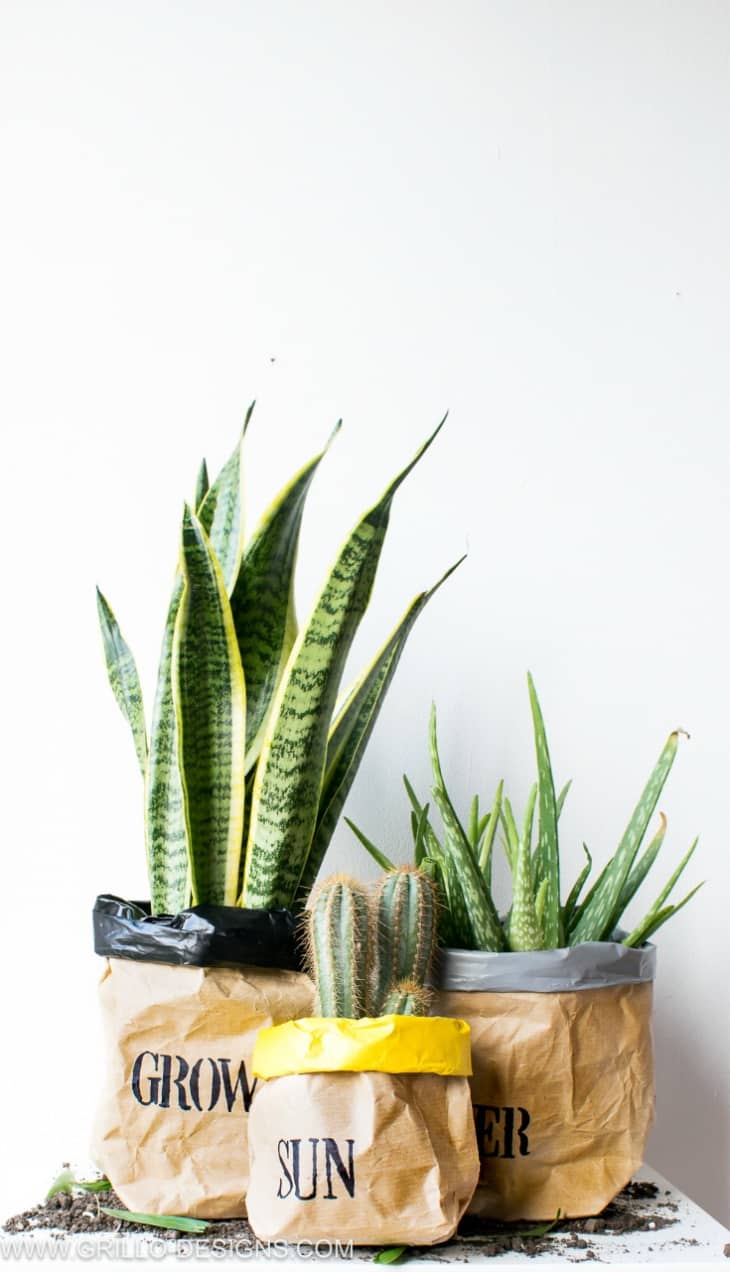 Ways to Reuse & Repurpose Paper Grocery Bags | Apartment Therapy